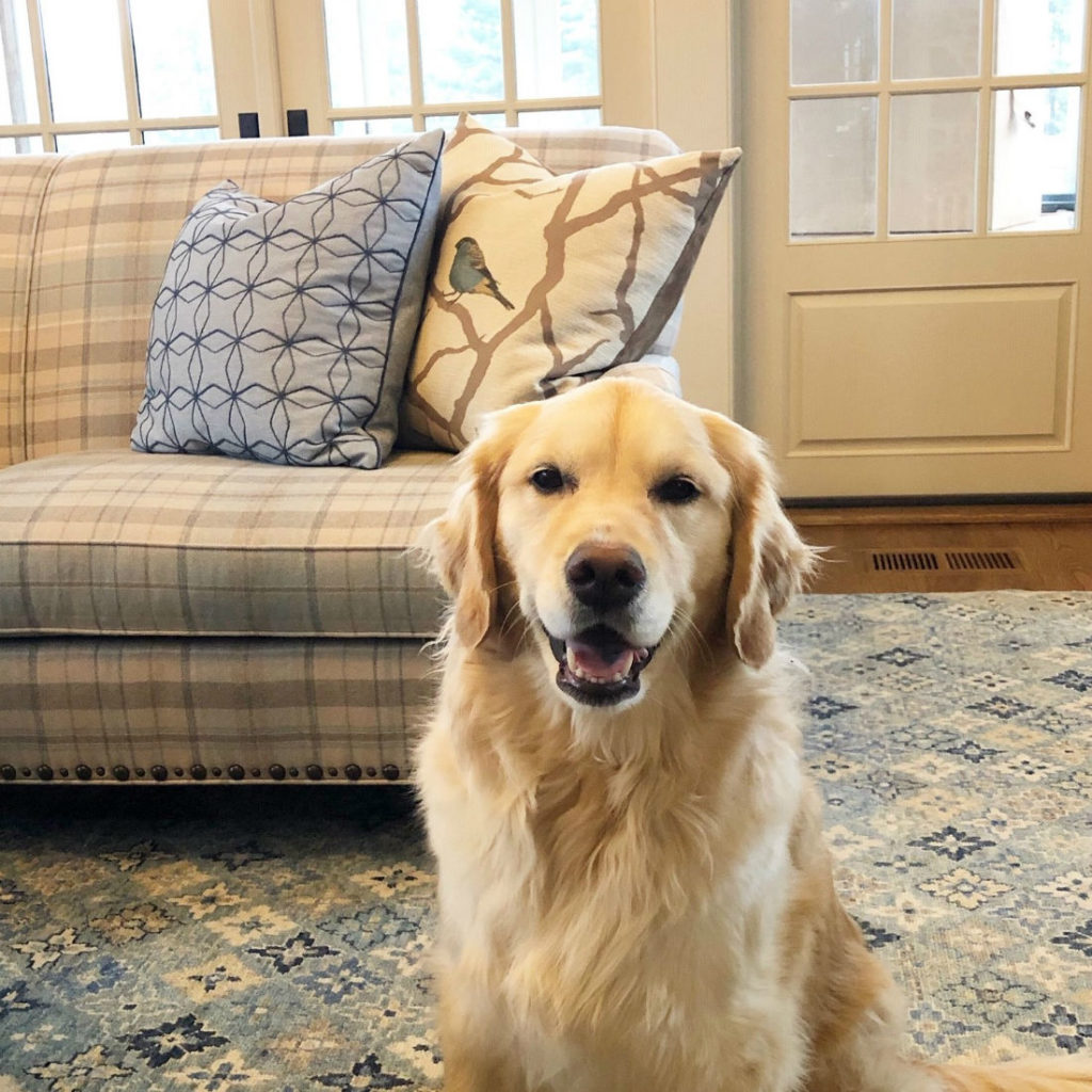 Philadelphia Main Line Architecture - Meadowbank Designs